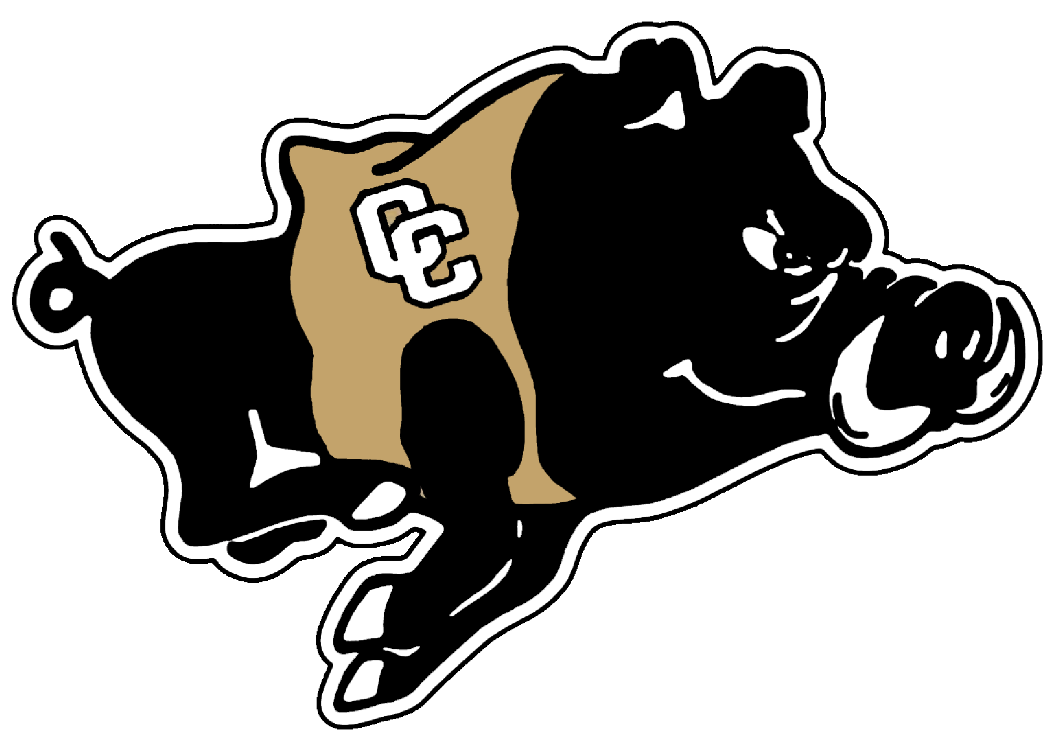 Packer Apparel – ddanddesigns